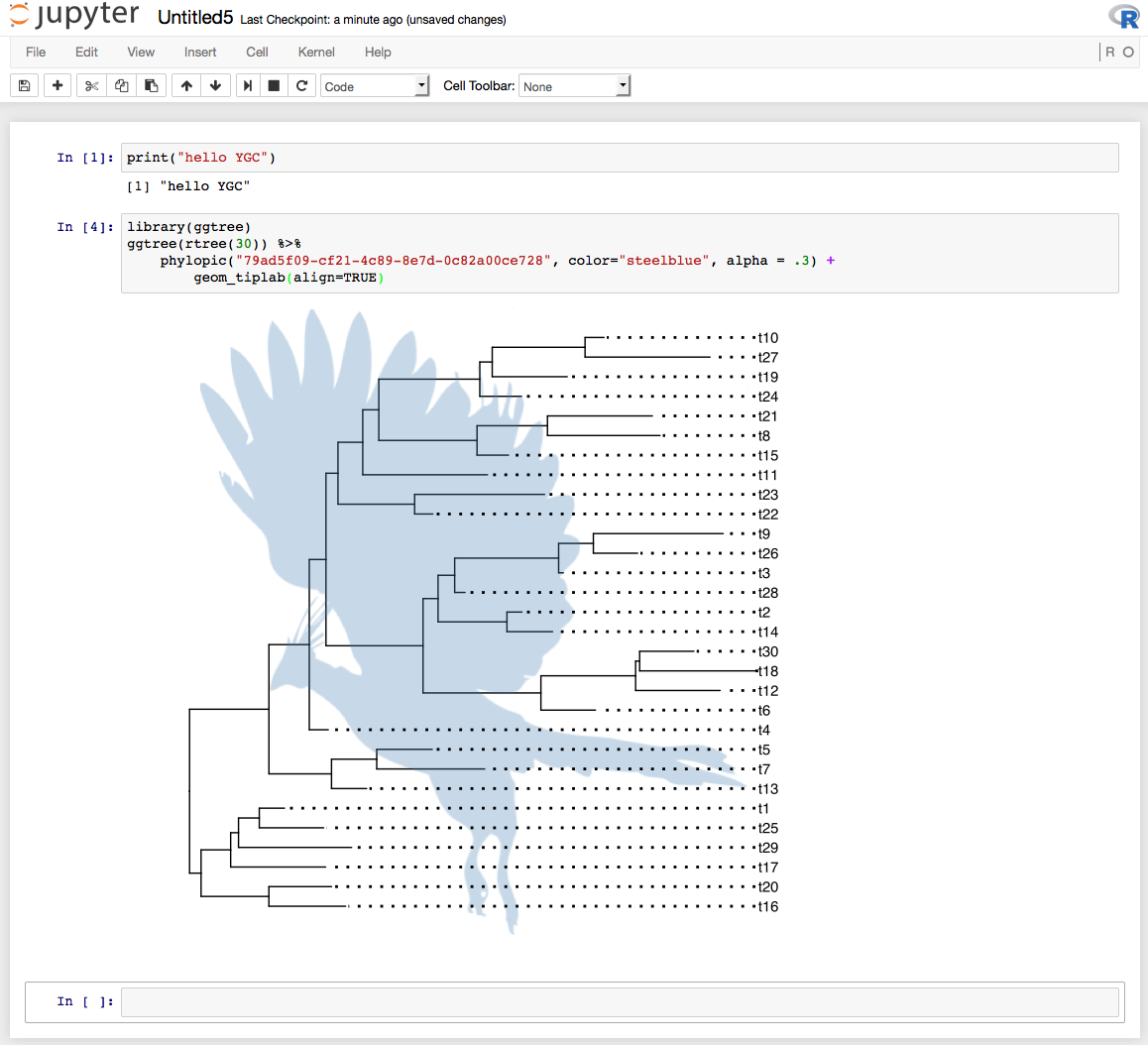R kernel in Jupyter notebook 3